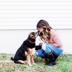Take Better Pictures Of Your Pet With These Simple Tricks - Kelly Lawson